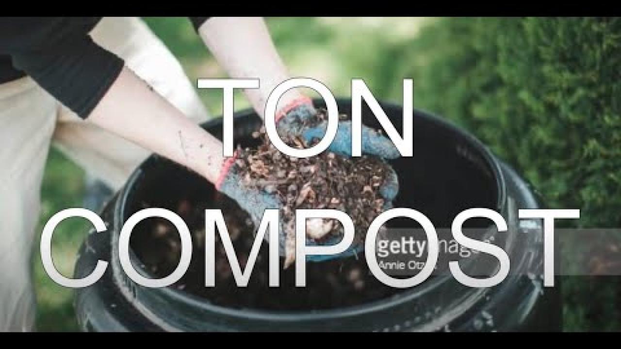 DALLE BETON - Mange Ton Compost | Ferarock