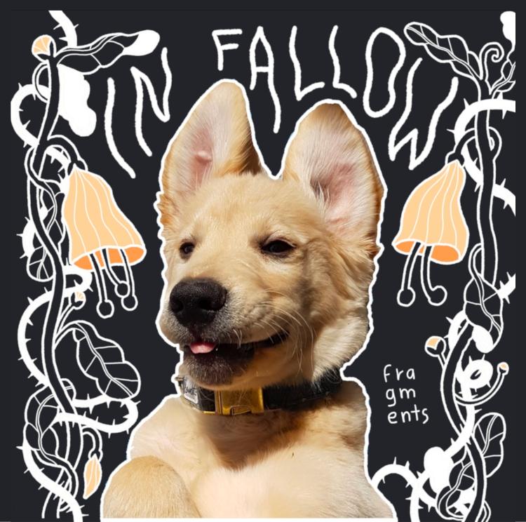 Fragments | Ferarock